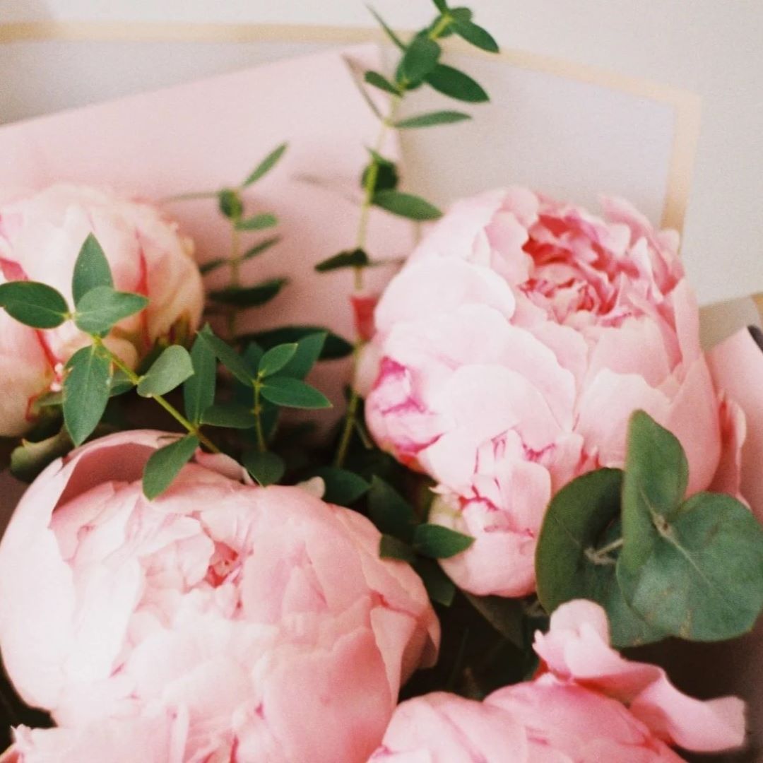 Fleur Romantique & Cadeaux Spéciaux | Atelier Balsam