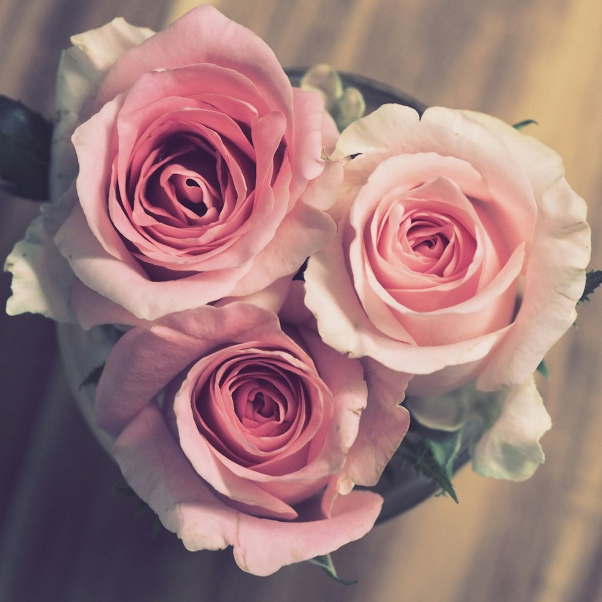 3 Roses - Une pensée pour toi – Atelier Balsam